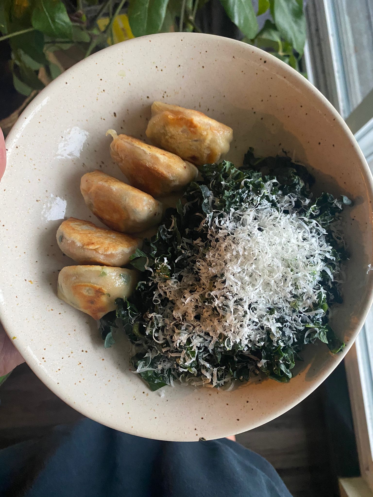 Poutine, Eh! Perogies | Modern Perogie LTD