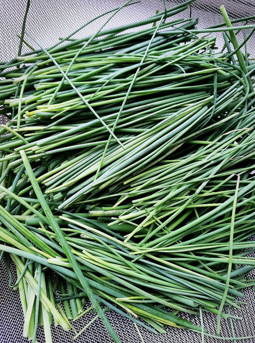 Poutine, Eh! Perogies | Modern Perogie LTD